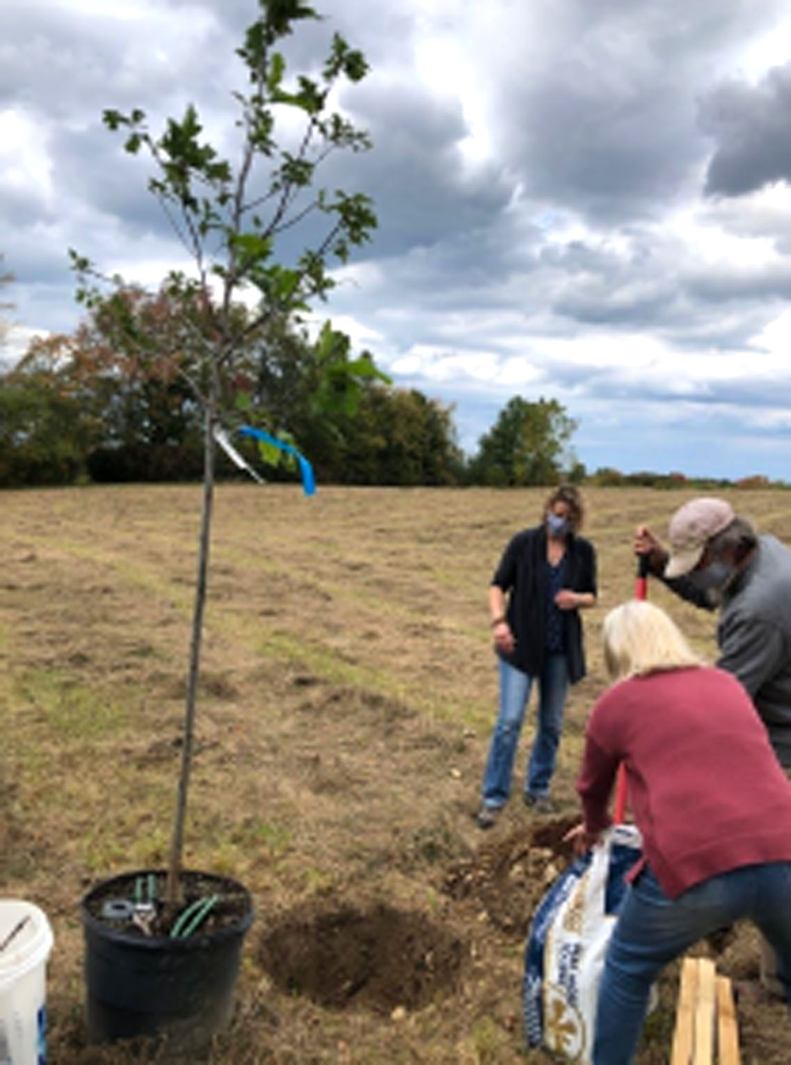 ‘A way to honor them’: Memorial Tree Lane takes root at Greystone ...